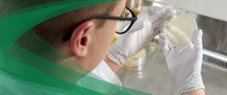 microbial cell line development