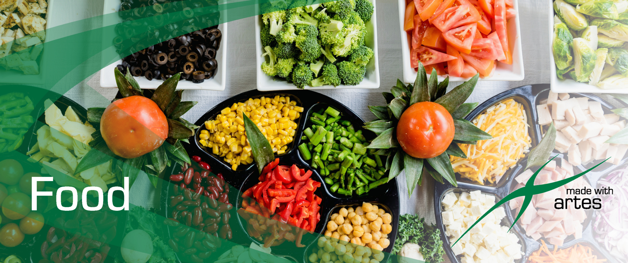 ARTES ‣ CDMO for microbial cell lines & processes